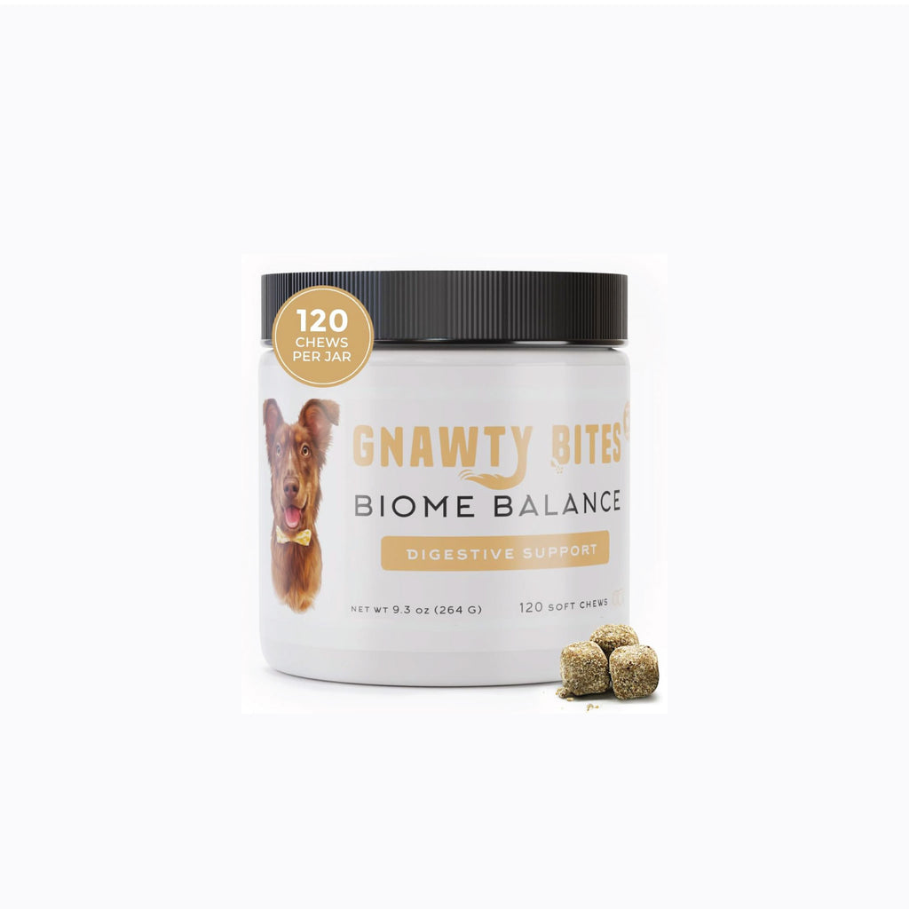 GNAWTY BITES - JOINT FLEX - Lil Back Bracer
